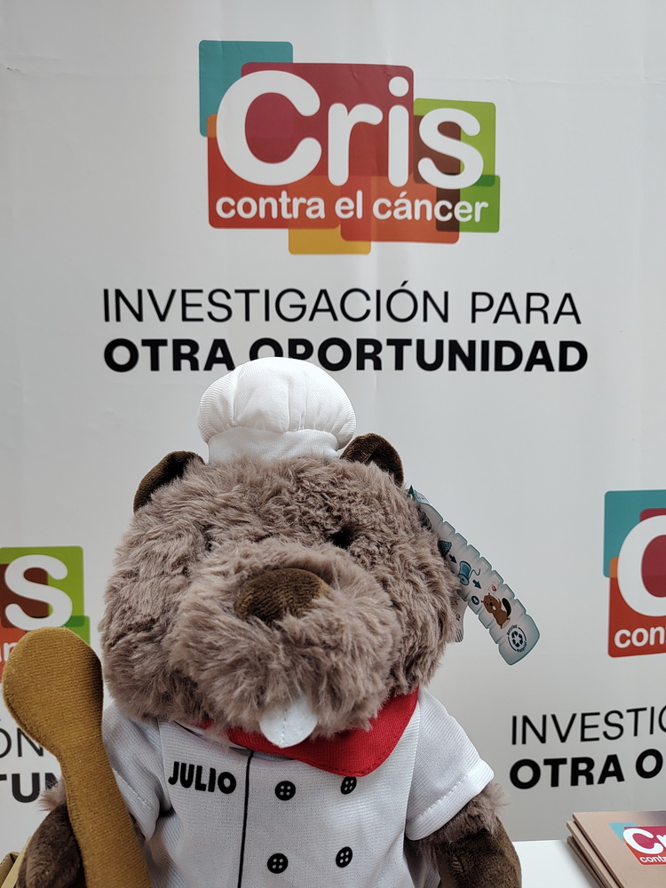 Alcampo entrega a CRIS contra el cáncer más de 113.500 euros para la ...