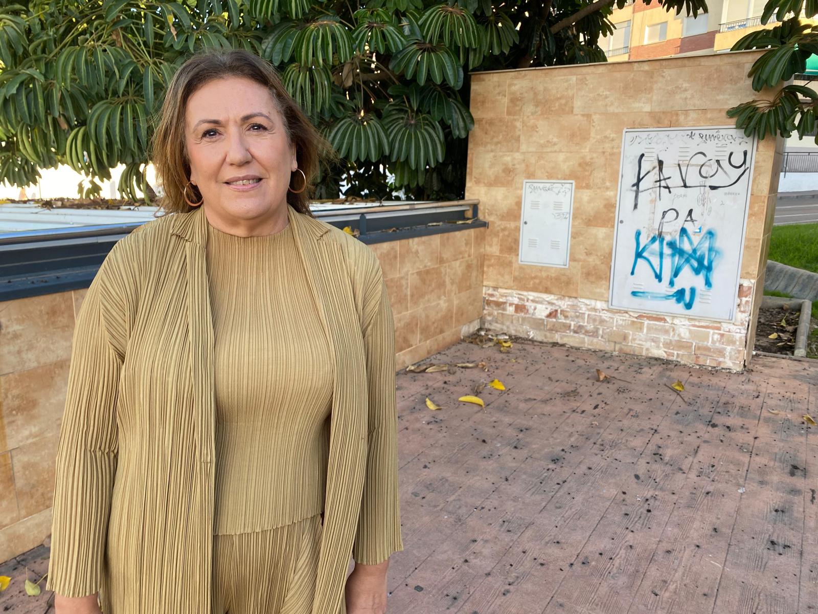 El PSOE de Motril considera que a la nueva ordenanza de Convivencia le ...